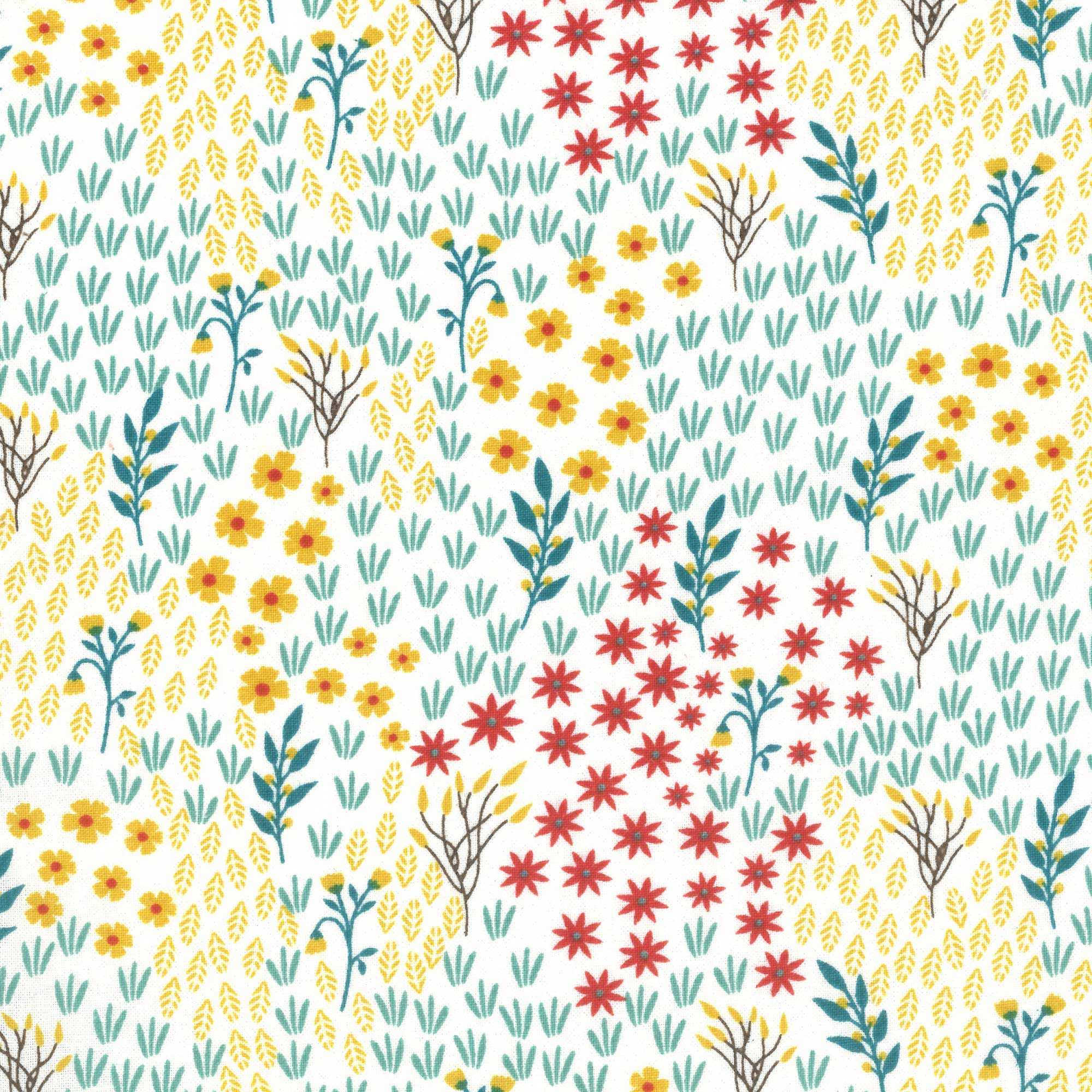 BIRCH FABRIC - AUSTRALIANA 110CMX10MT 100% COTTON » Birch Wholesale